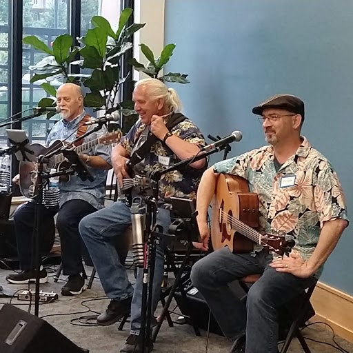 Photos of Call Us A Cab - An acoustic/electric music performance trio ...